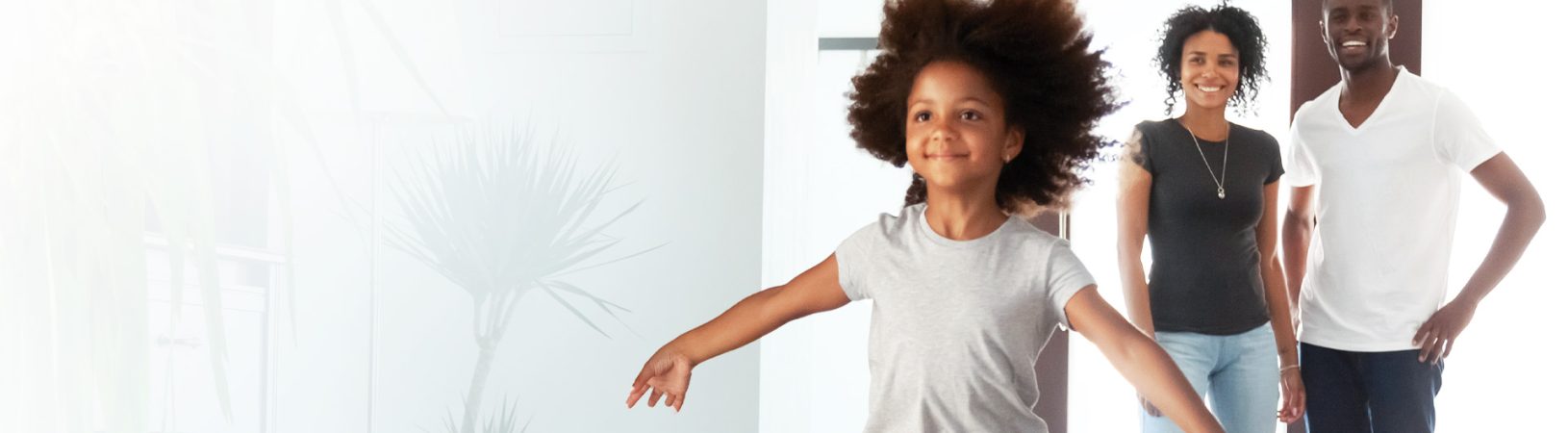 Home – Main page - Nimed Capital